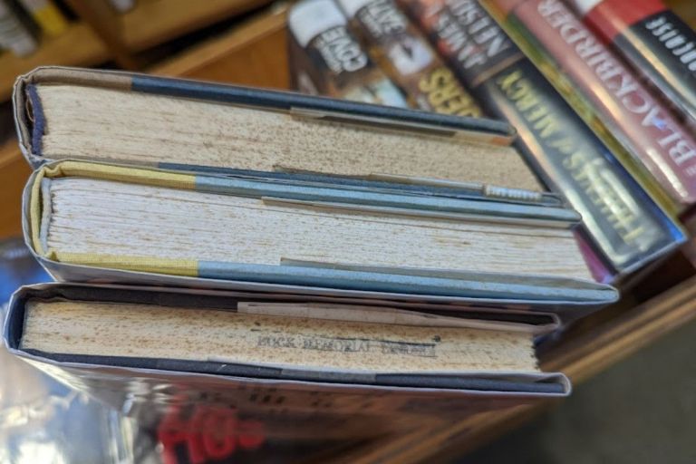Book Mold Explained: Causes, Signs, and Prevention – Green Eclipse Reads