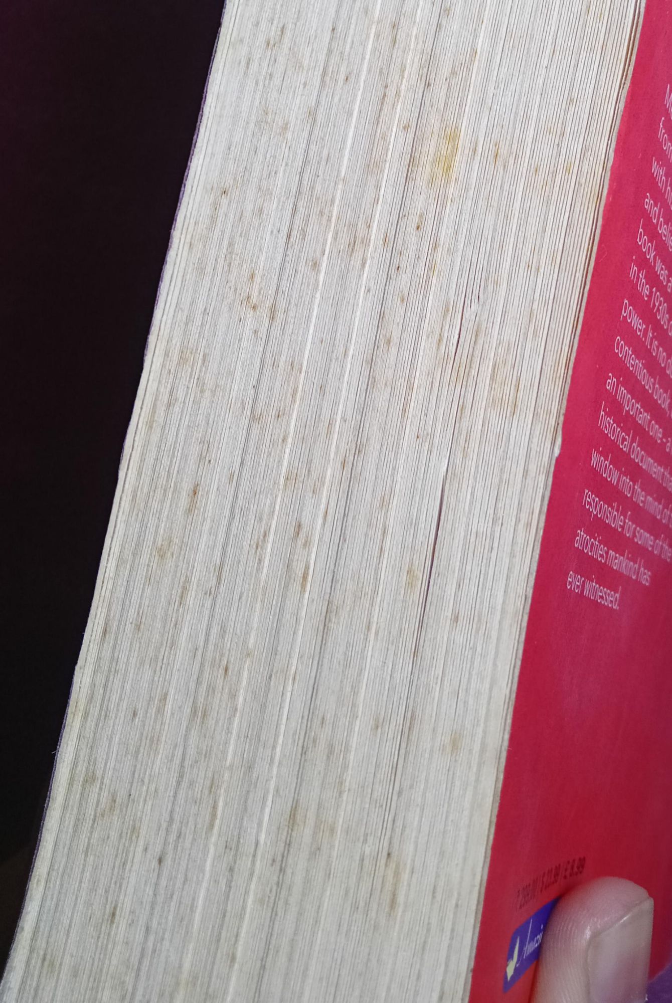 Book Mold Explained: Causes, Signs, and Prevention – Green Eclipse Reads